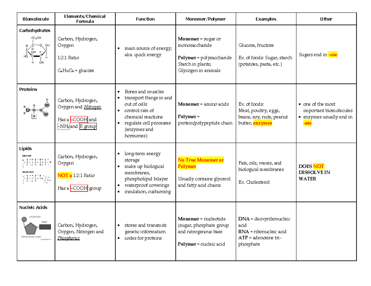 1-Biomolecules Chart 2017 KEY - Deprecated API usage: The SVG back-end ...