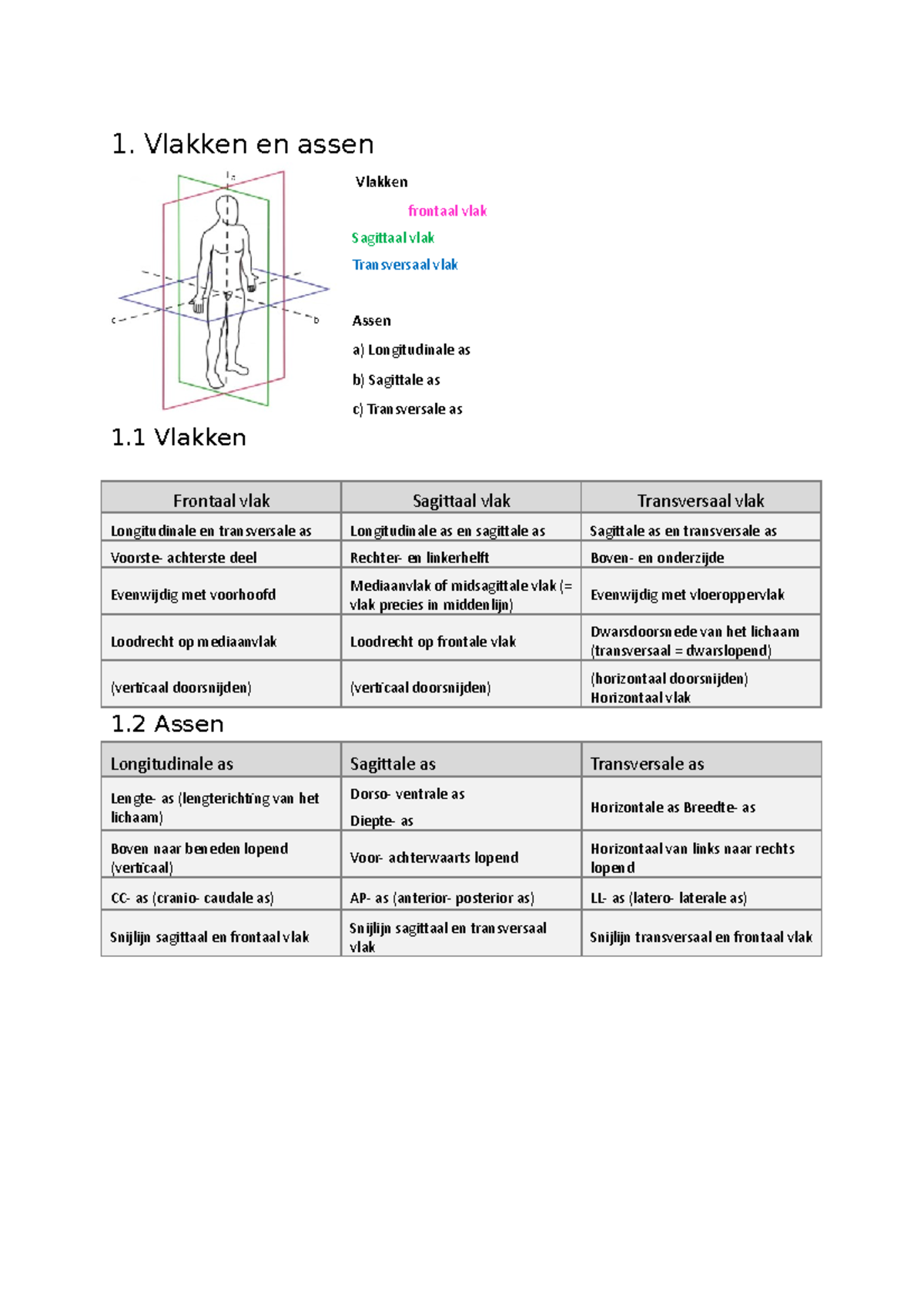 Vlakken en Assen in Anatomie: Longitudinale, Sagittale, Transversale ...