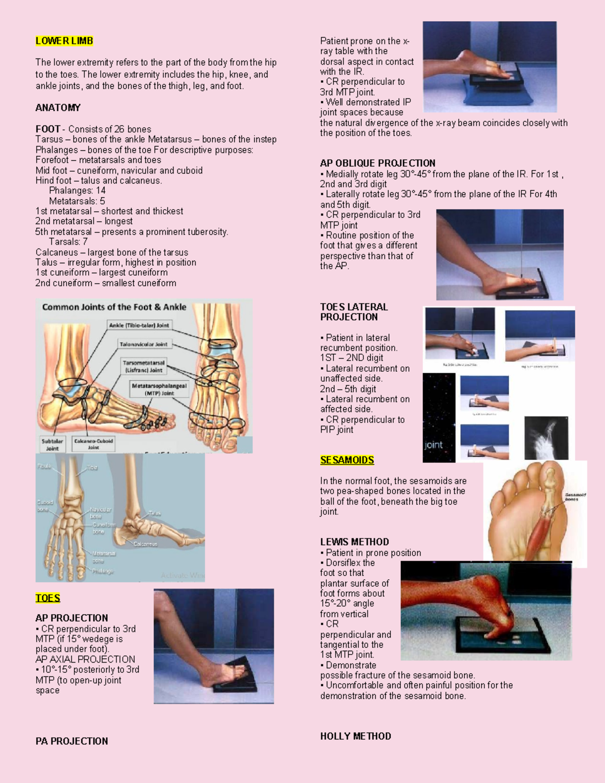 Lower Limb Anatomy and Positioning Techniques for X-Ray Imaging - Studocu