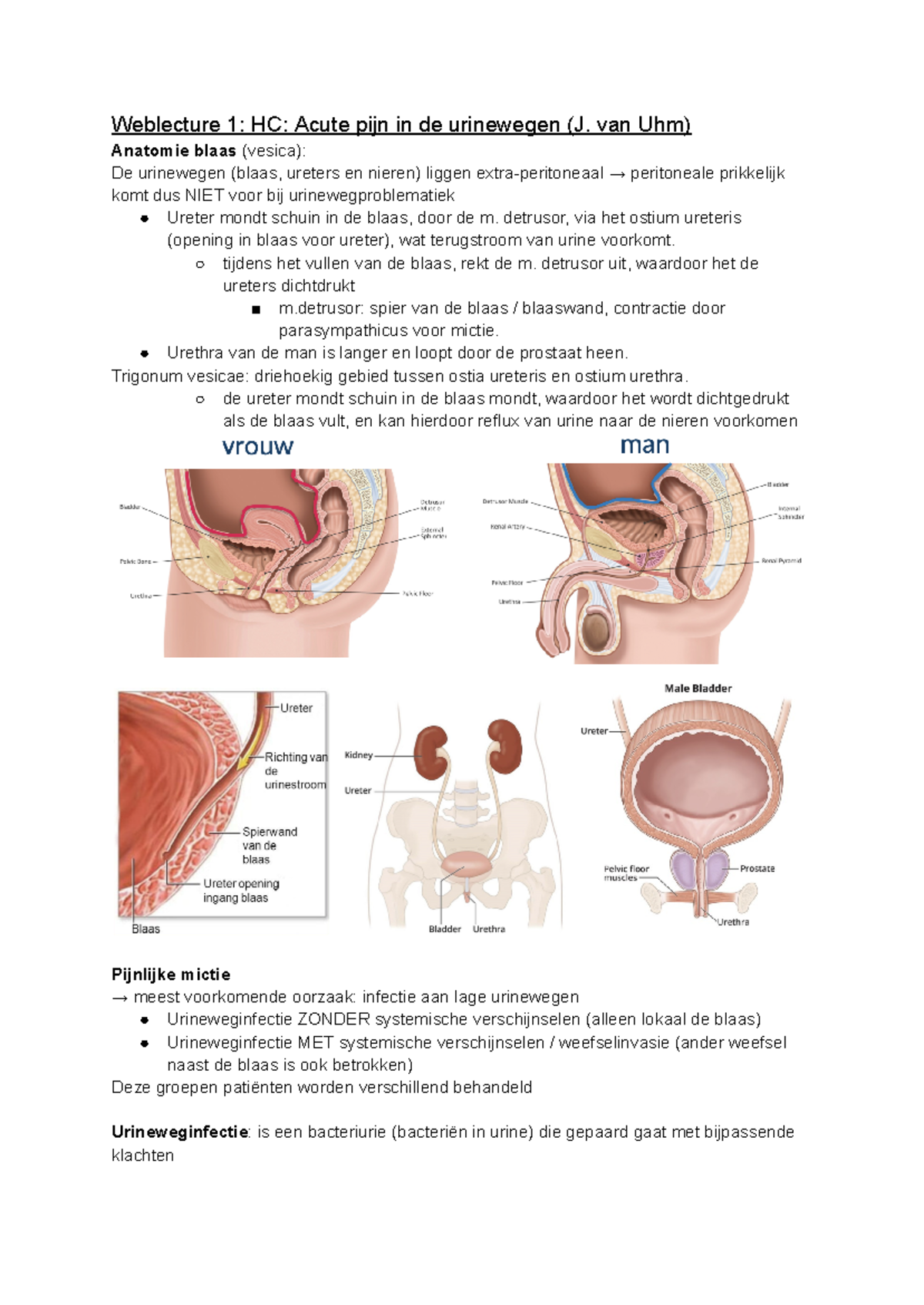 HC Acute Pijn en Urineweginfecties: Weblecture 1 Analyses (2024 ...