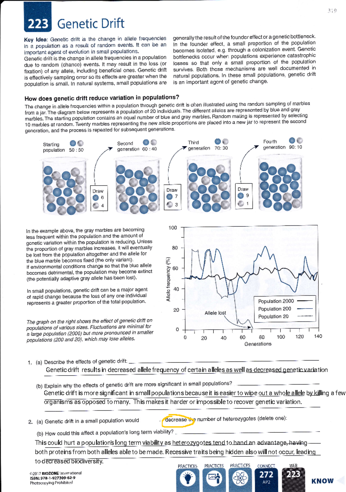 Genetic drift worksheet - Genetic Drift Key ldea: Genelic drift is the ...