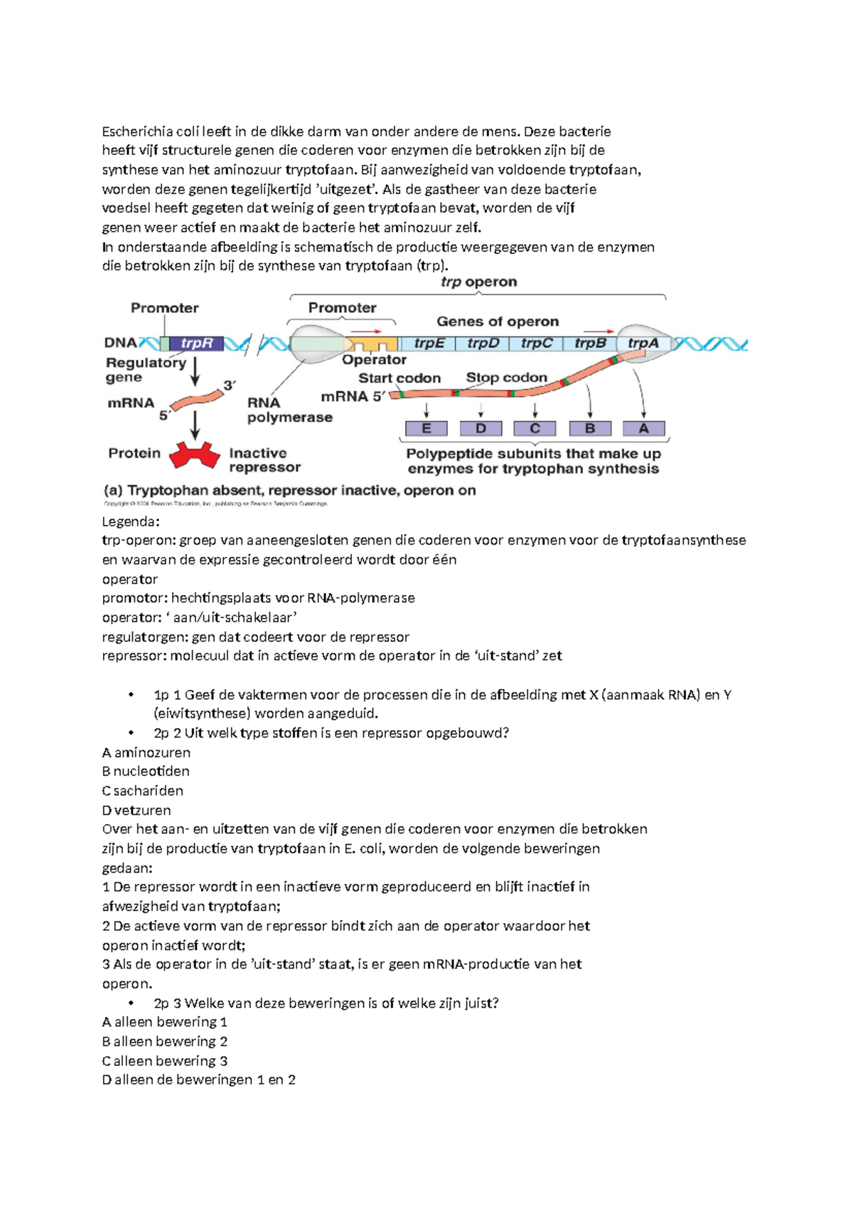 Oefenvragen DNA en Genexpressie in E. coli en Progeria - Studeersnel