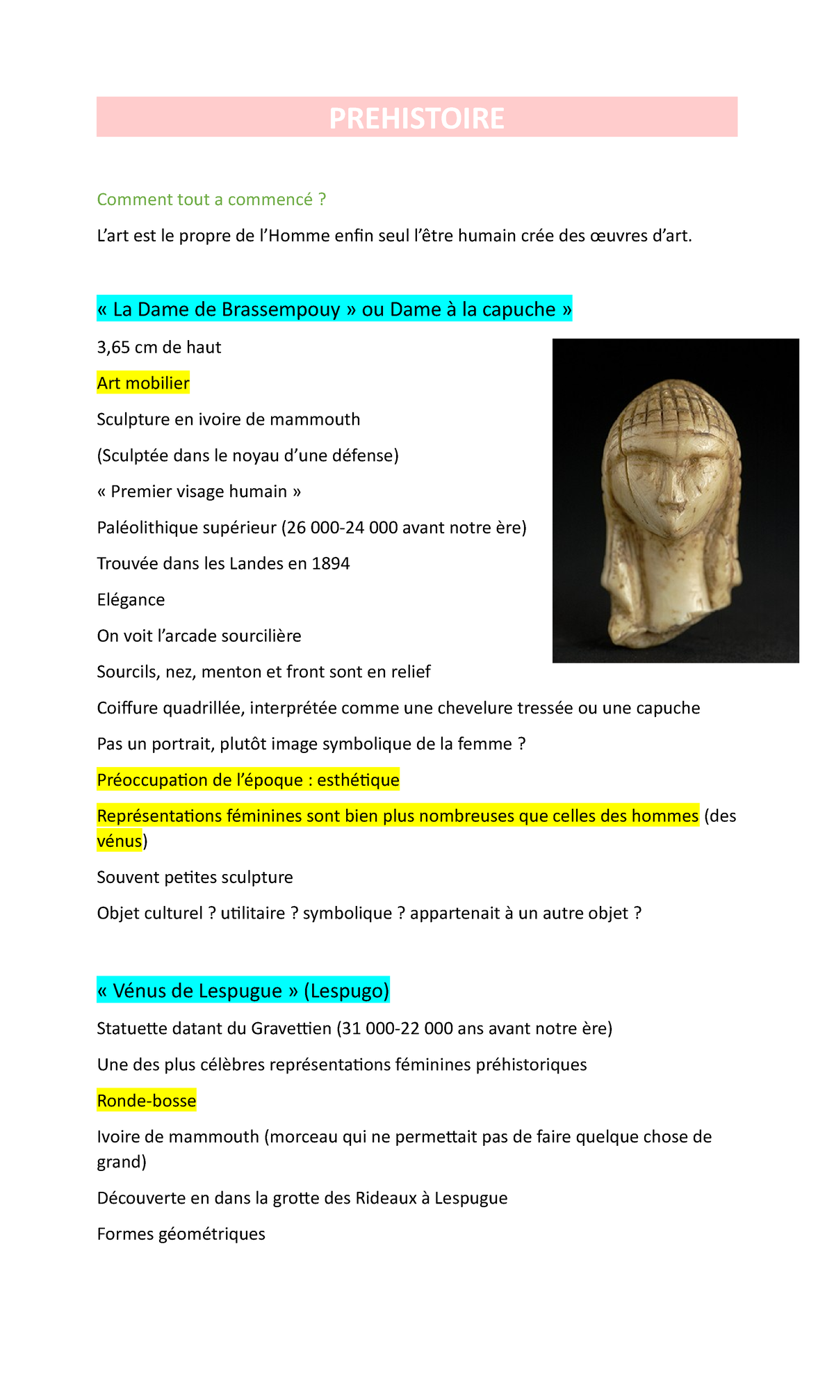 Histoire de l'art : L'art Préhistorique (licence MCC 1) - Studocu