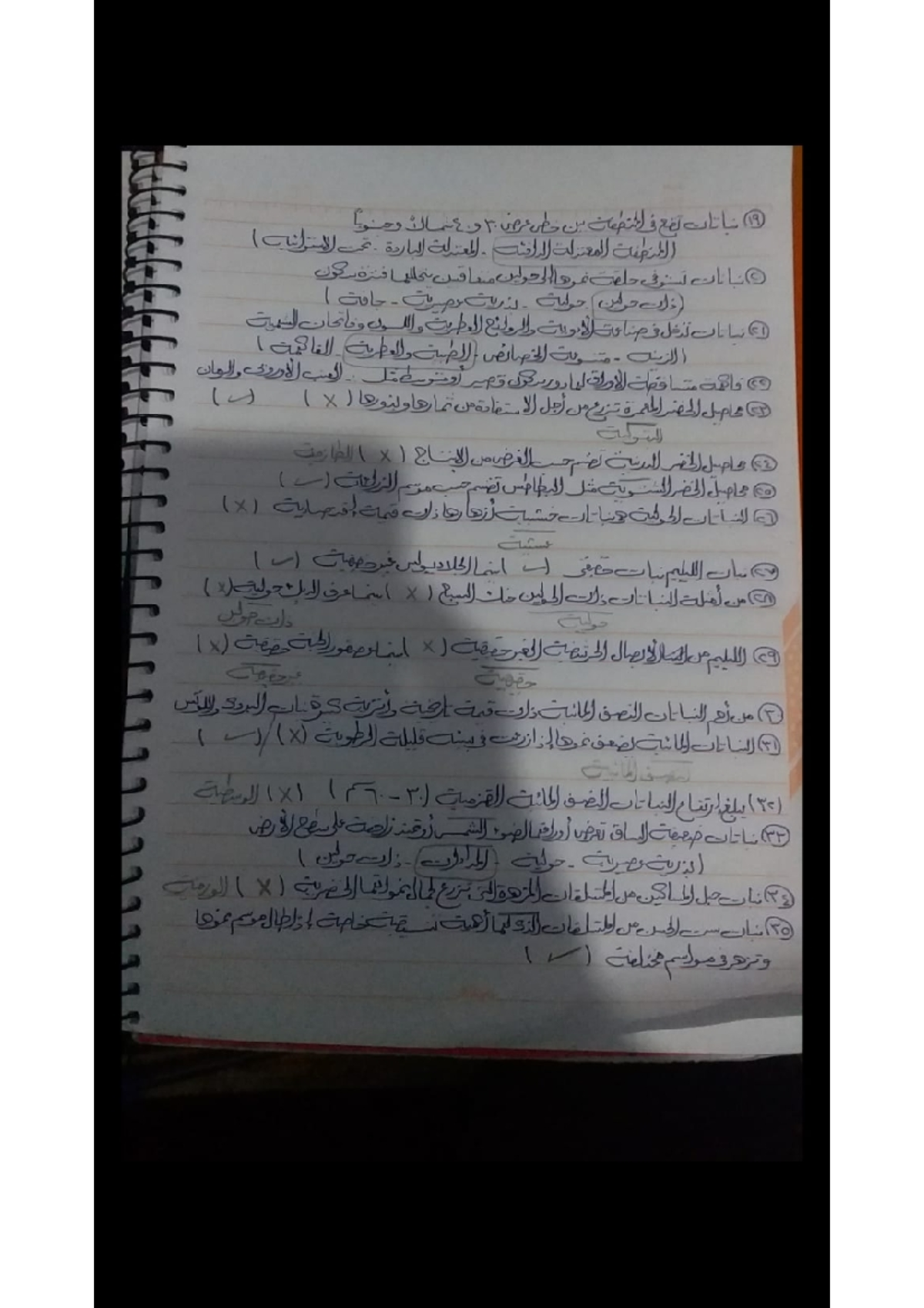 أسئلة بساتين - امتحان نهائي 2023 - Studocu
