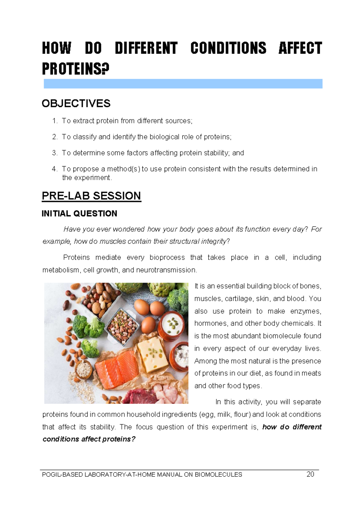 Experiment 1: PLAH Proteins - Effects of Conditions on Protein ...
