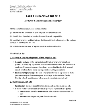 Audit in cis module - AUDIT IN A CIS ENVIRONMENT MODULE Prepared by ...