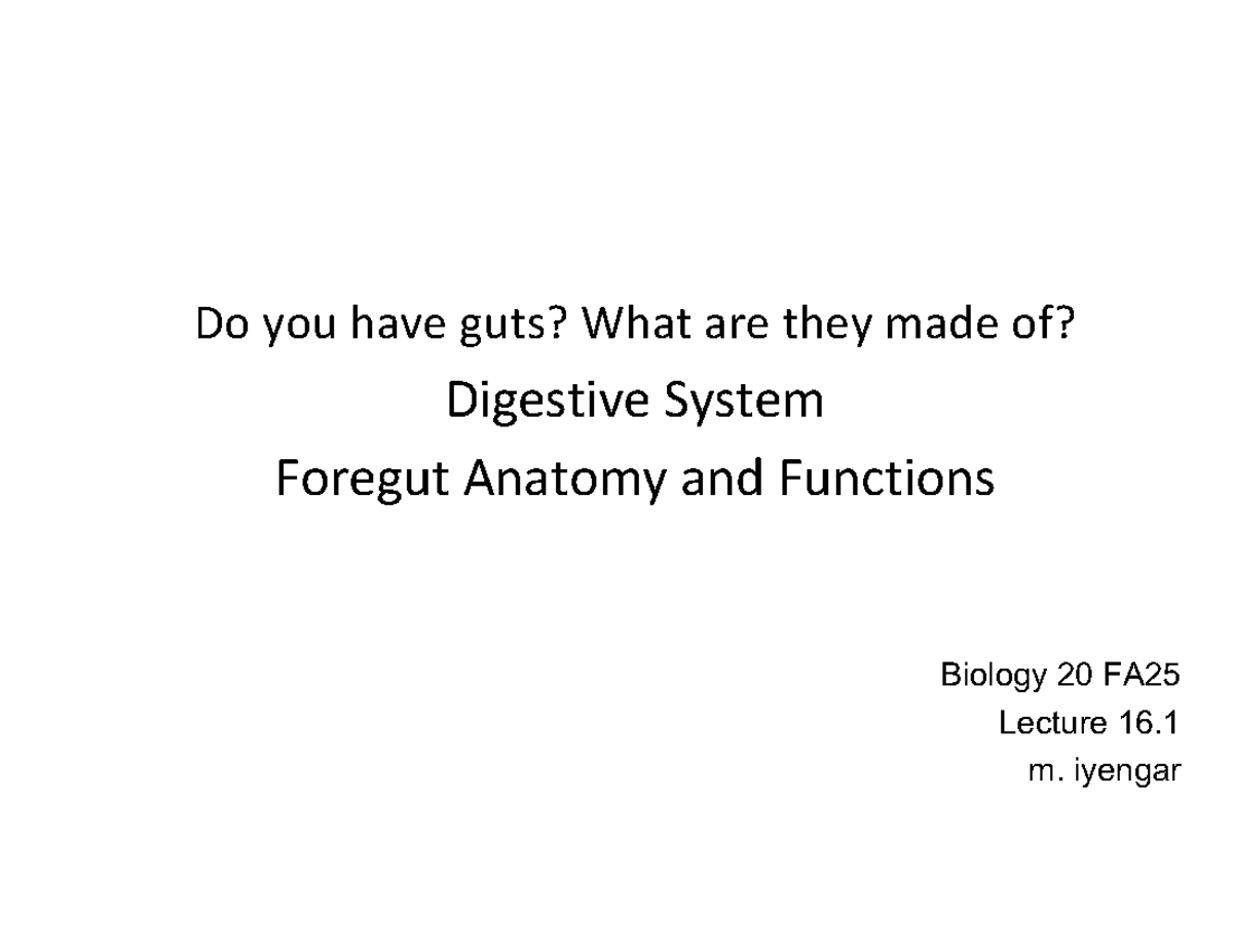 Biology 20 FA25 Lecture 16.1: Digestive System Anatomy & Functions ...