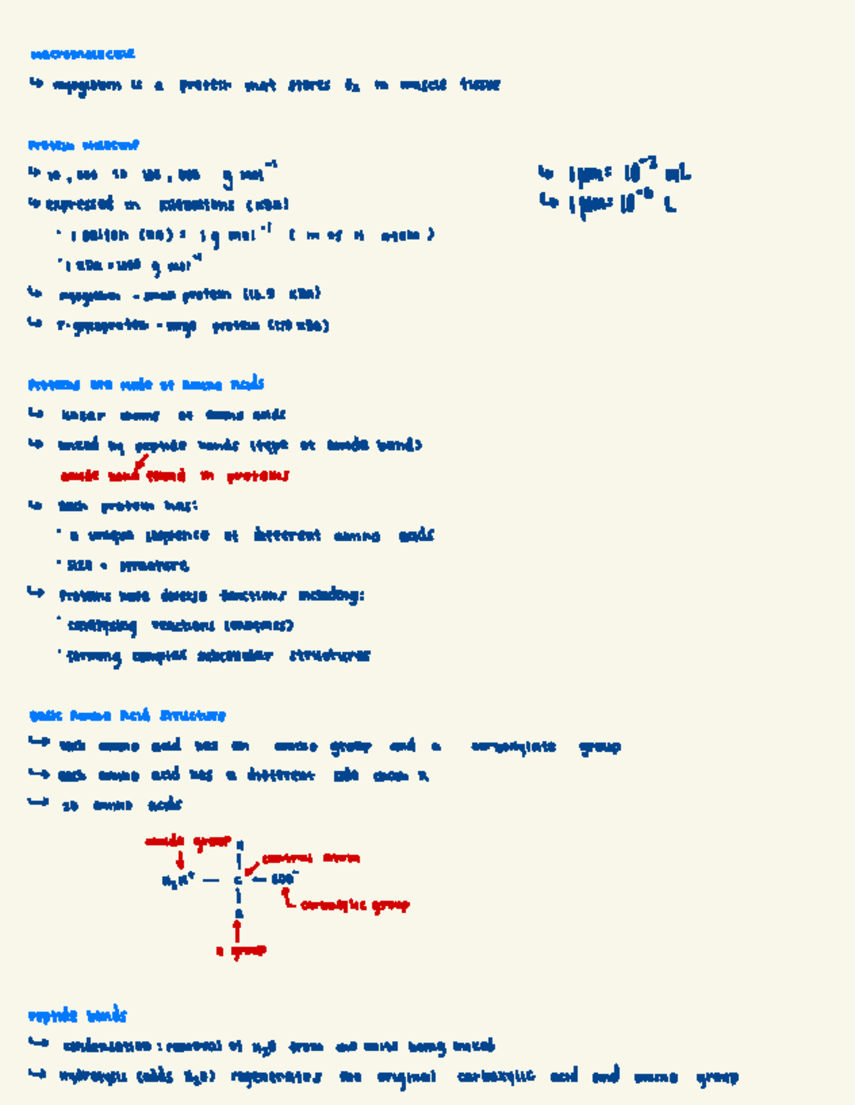 Biochemistry 101: Myoglobin Protein Structure and Function Notes - Studocu