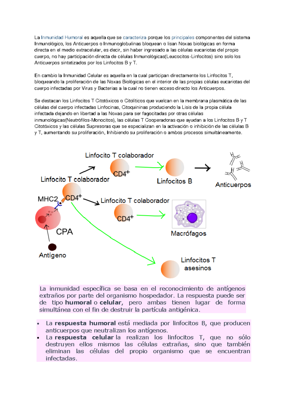Inmunidad - Inmunología - La Inmunidad Humoral es aquella que se ...