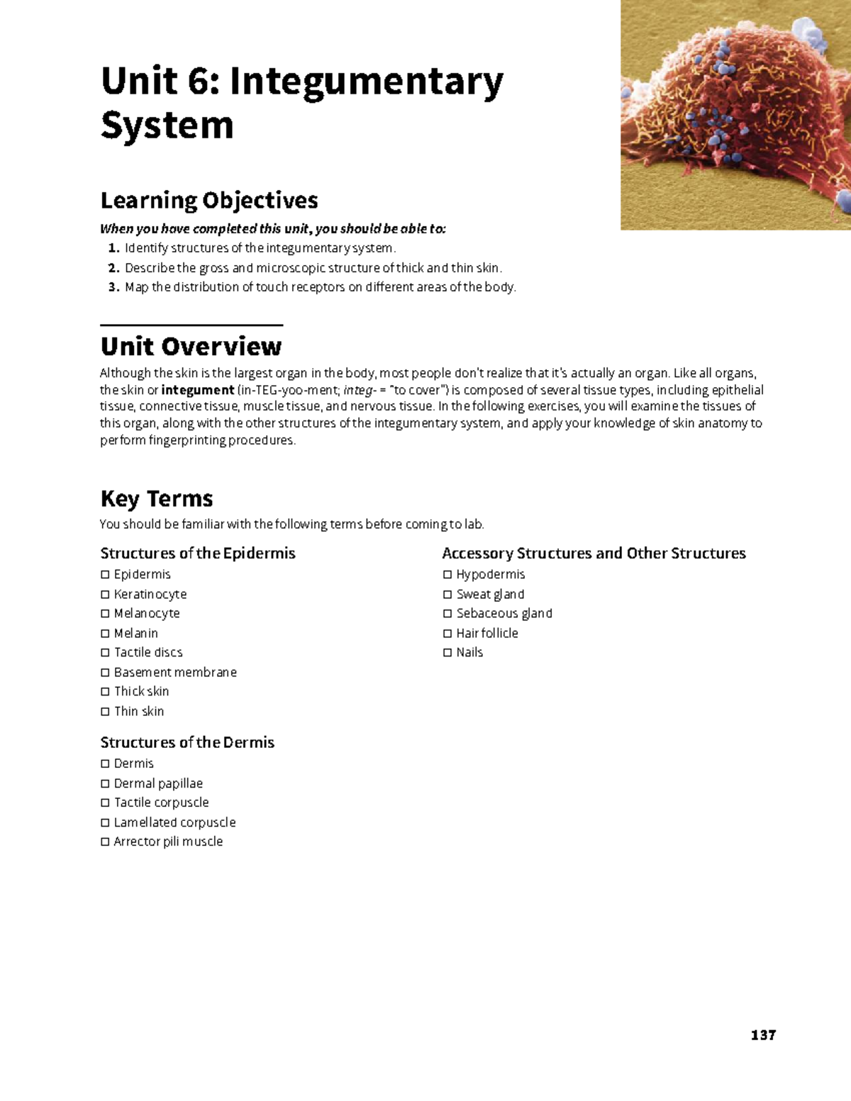 Unit 6: Integumentary System - Learning Objectives and Key Concepts ...
