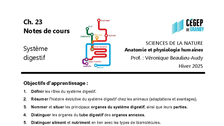 Ch. 23 Notes de Cours sur le Système Digestif - SCIENCES DE LA NATURE ...