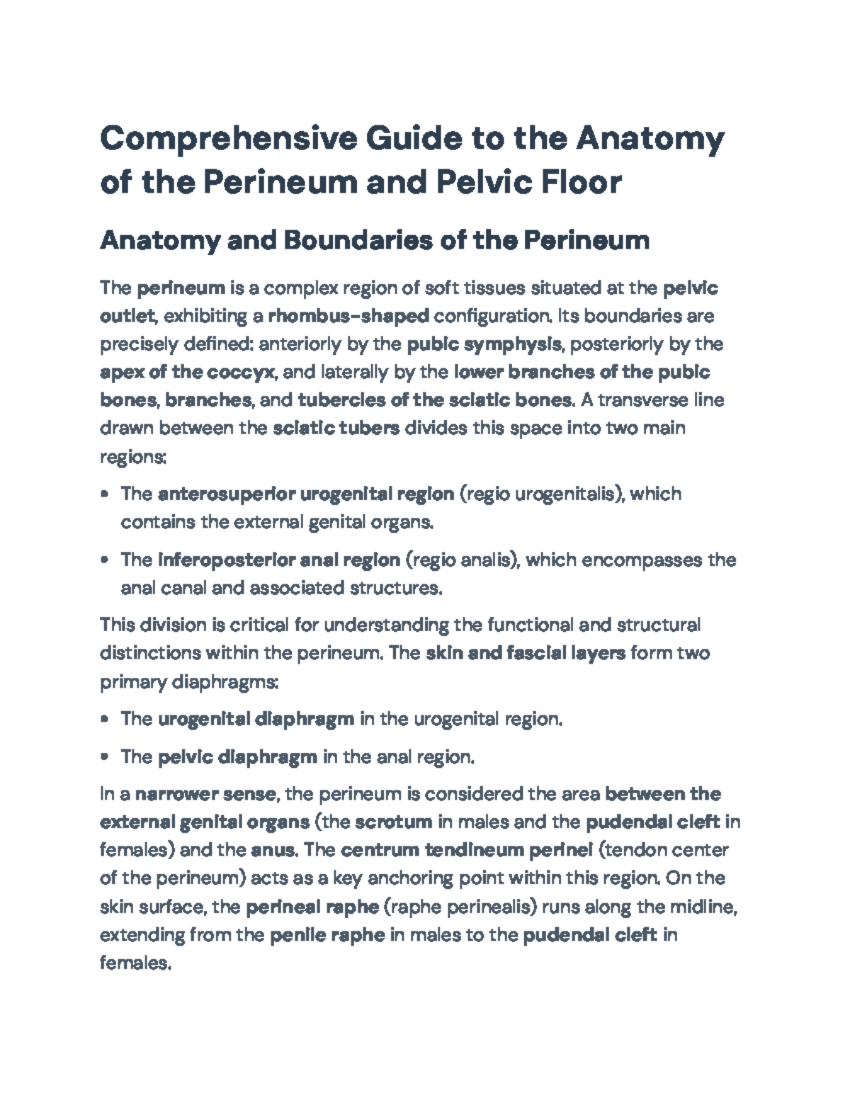 Comprehensive Guide to Perineum & Pelvic Floor Anatomy (ANAT 101) - Studocu