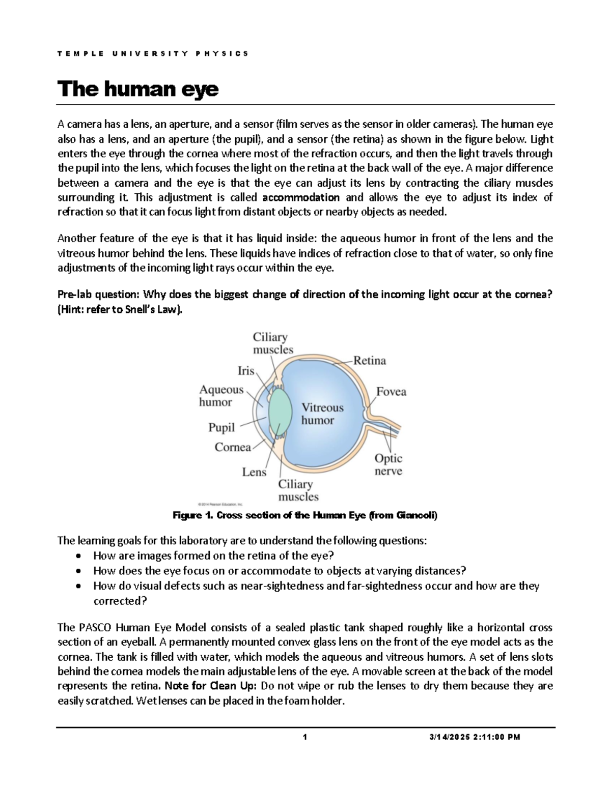 Human eye - lab notes for PHYS 101 - Studocu