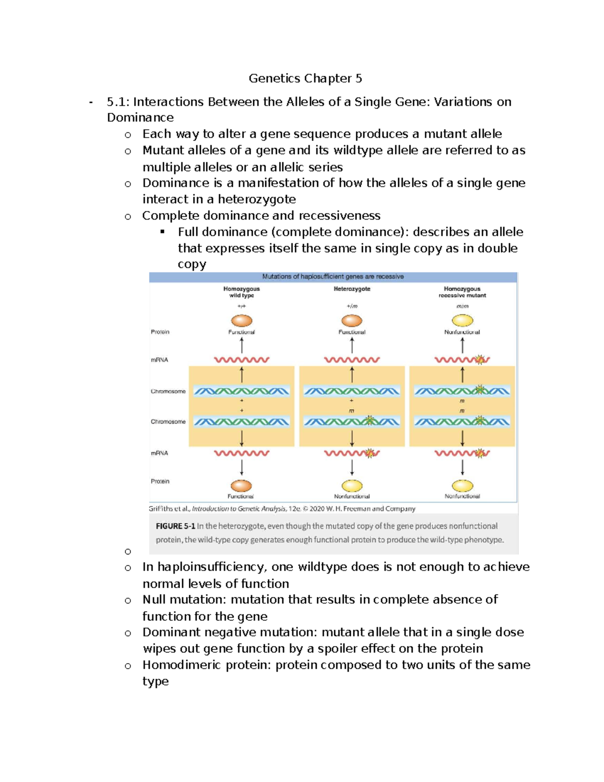 Genetics Chapter 5: Gene Interactions & Mutations Analysis - Studocu