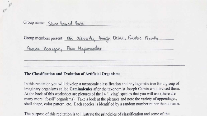 Caminalcules Classification and Evolution Recitation (BIO 101) - Studocu