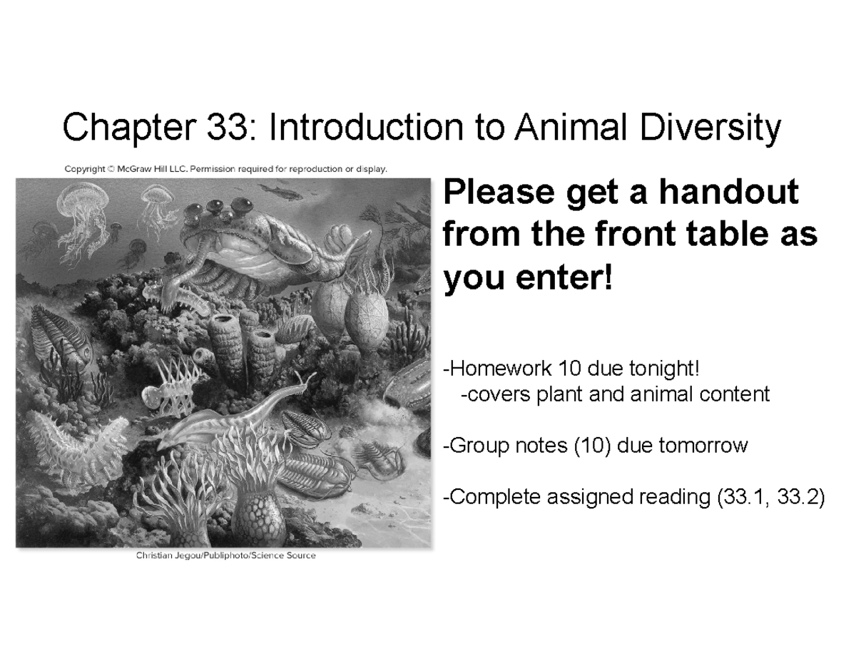 Lecture 25: Key Concepts in Animal Diversity (Chapter 33) - Chapter 33: Introduction to Animal ...