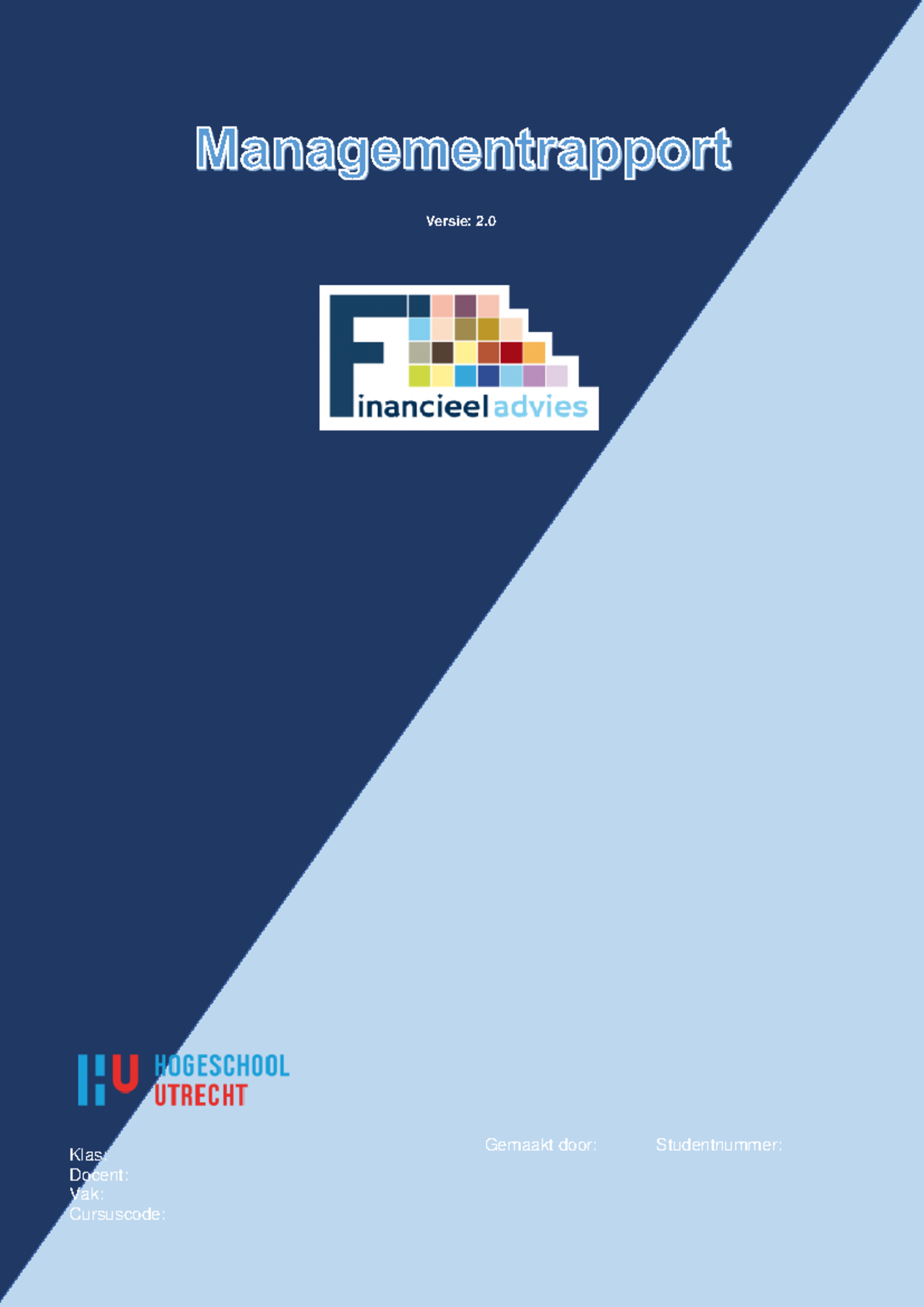 Managementrapportage Wizz 3D: Bedrijfseconomische Analyse en Advies - Studeersnel