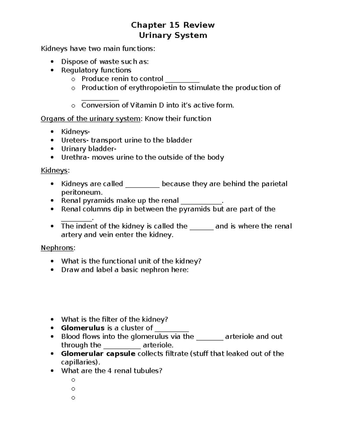 Urinary System Review Notes - Chapter 15 (including Urine Case Studies ...