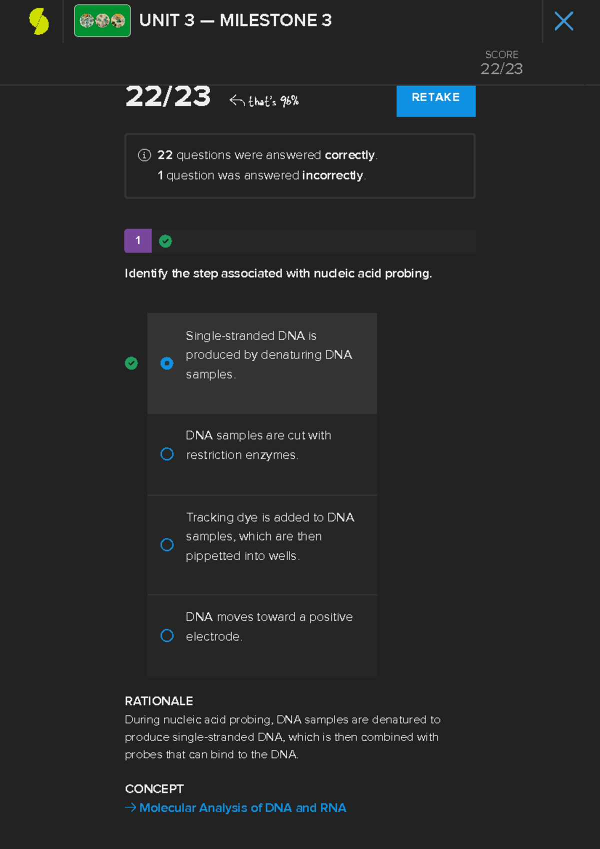 Microbiology M3 - DNA and RNA Analysis & Assignment Overview - Studocu
