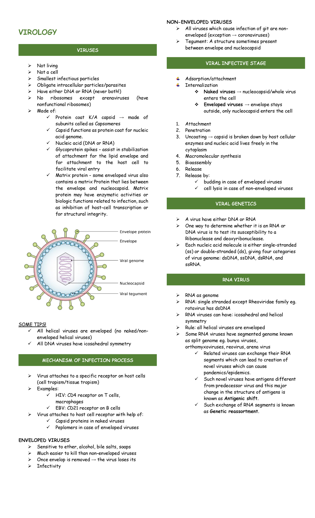 Virology Introduction - VIROLOGY VIRUSES Not living Not a cell Smallest ...