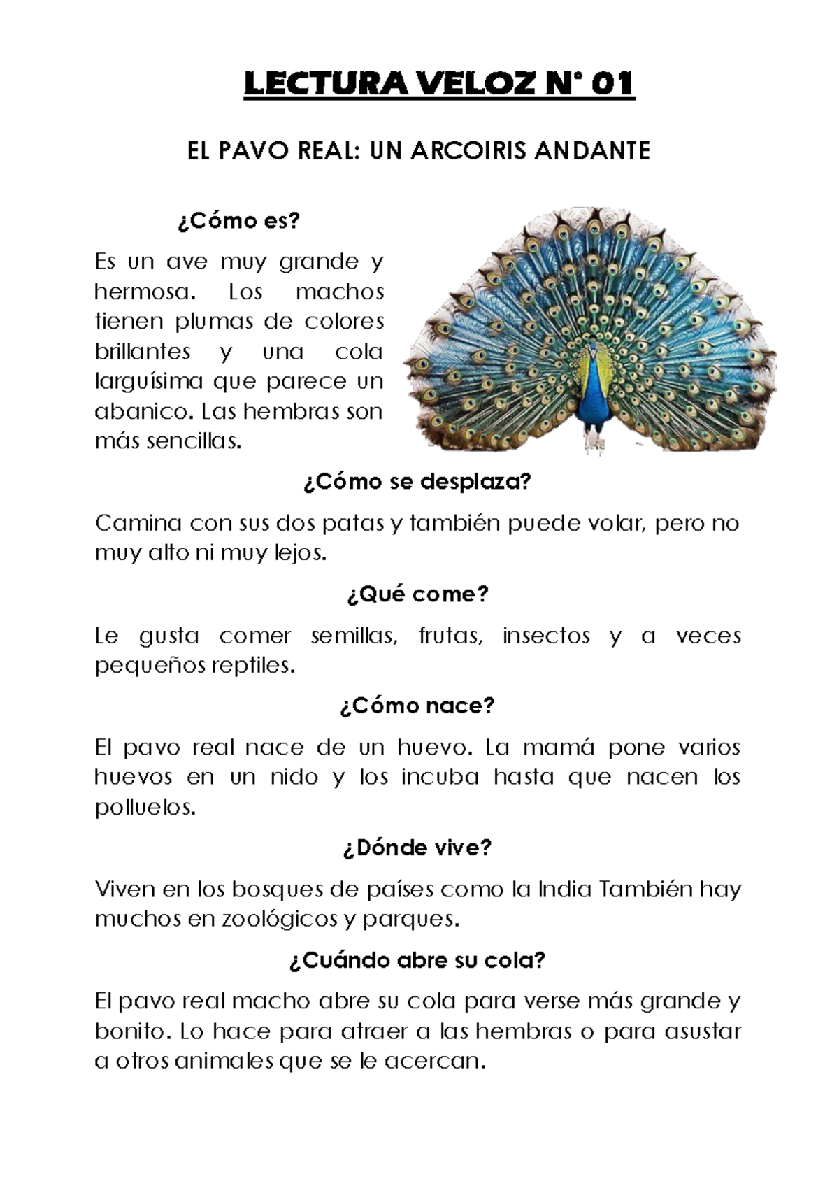 LECTURA VELOZ 01: EL PAVO REAL Y SU MUNDO - Studocu