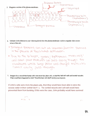 AP Biology FRQ - Unit 4 - Unit 4 FRQ practice - Ligands and Nerve ...