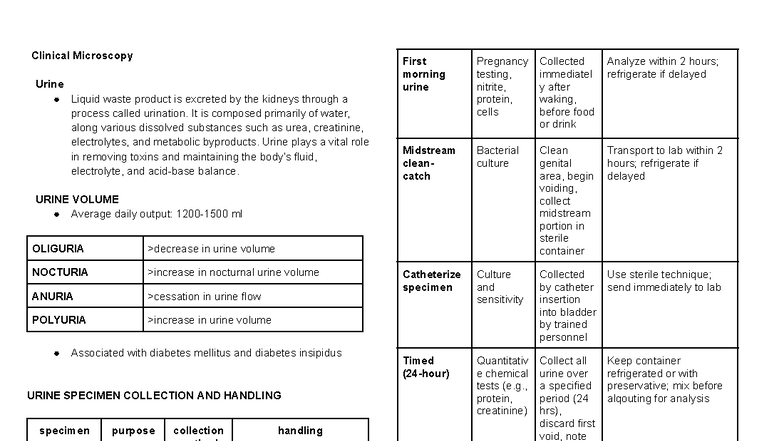Clinical Microscopy: Urine Analysis and Specimen Handling - Studocu