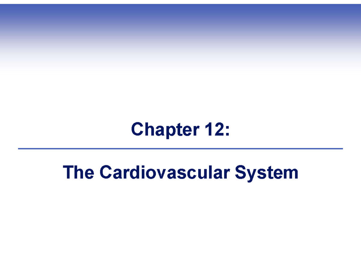 Chapter 12 - The Cardiovascular System Overview Presentation - Studocu