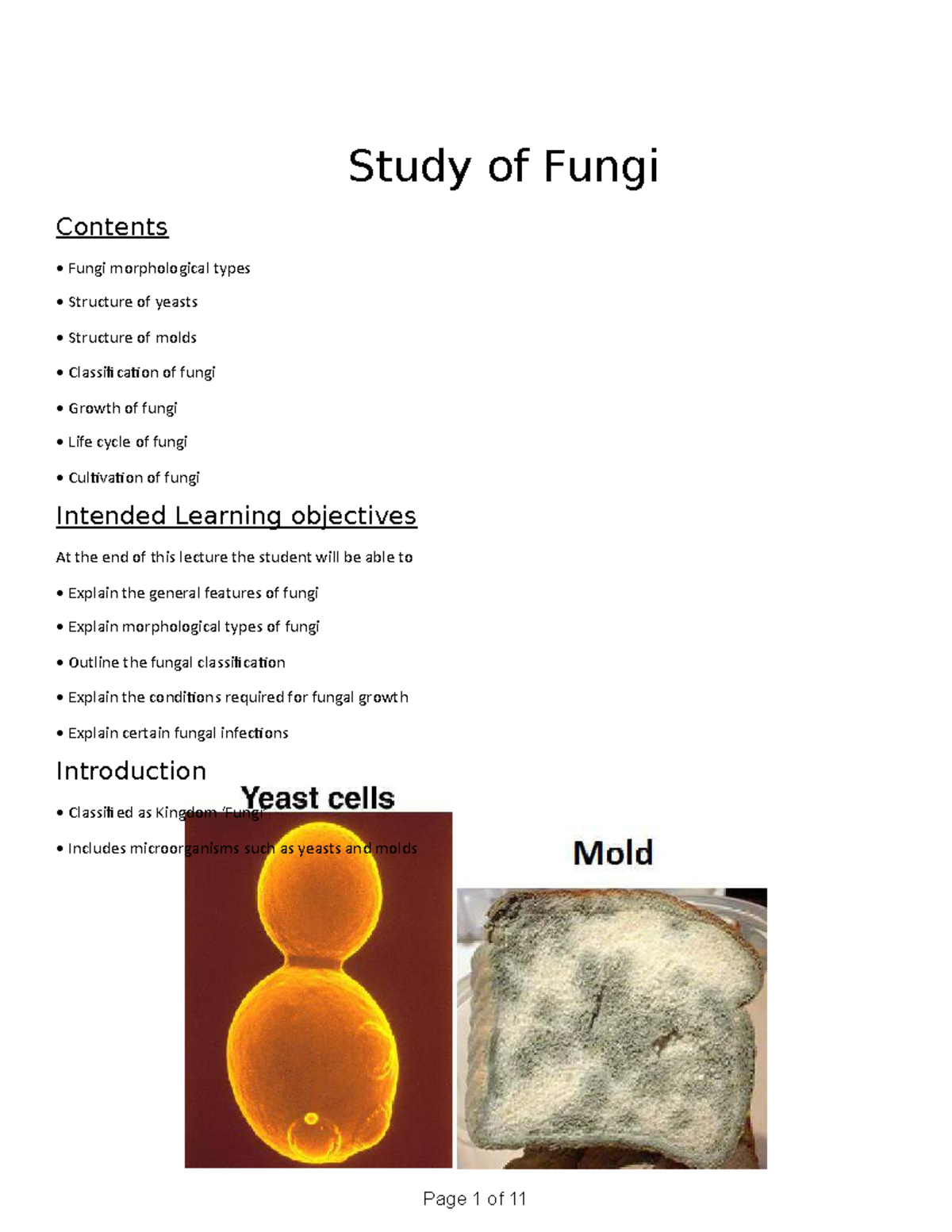 Chapter 30 - In-Depth Study of Fungi and Their Characteristics - Studocu