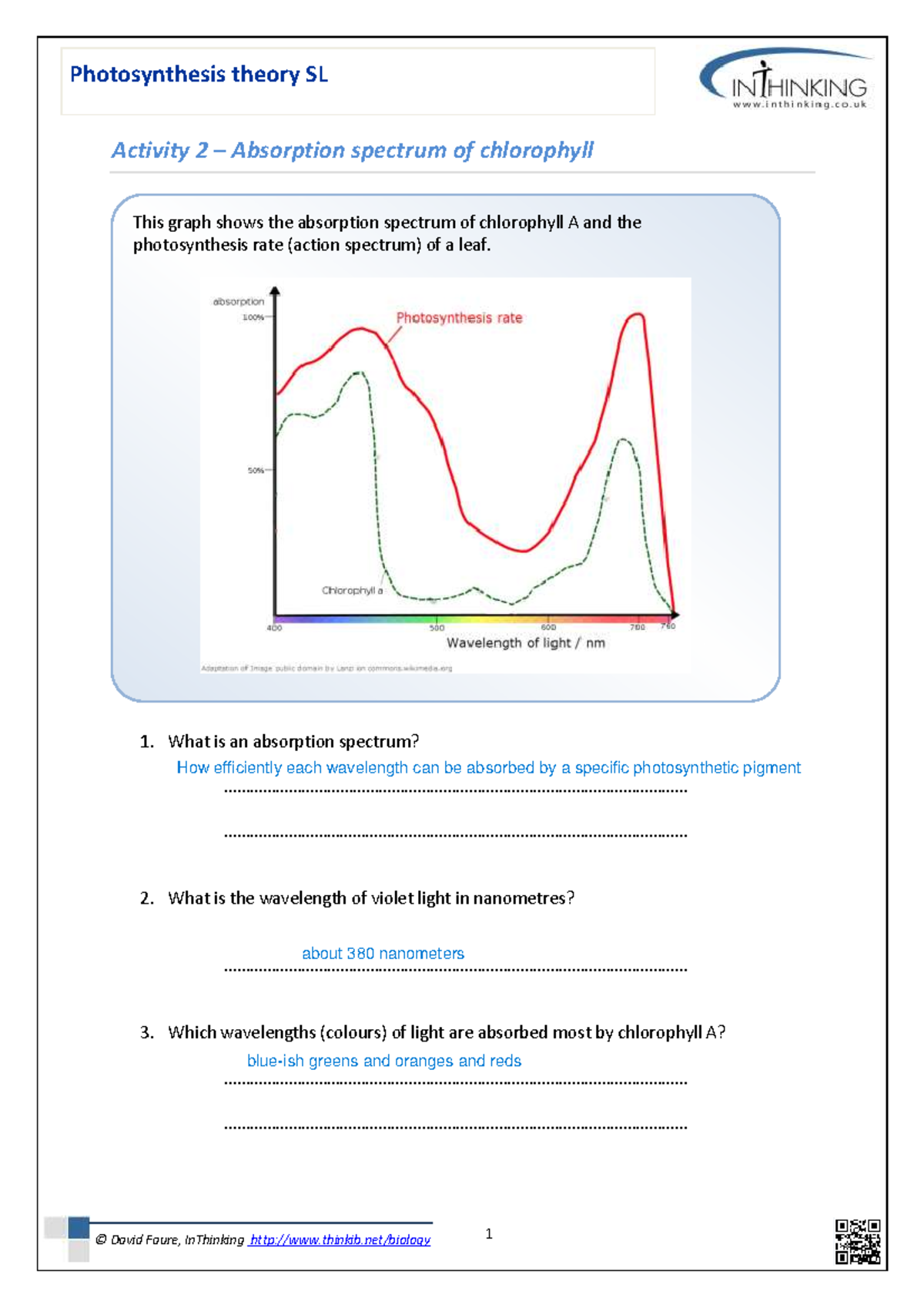 SL Biology: Absorption Spectrum of Chlorophyll & Photosynthesis Theory ...