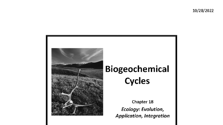Biogeochemical Cycles in Ecology: Insights from Ch. 18 (Ecol 101) - Studocu