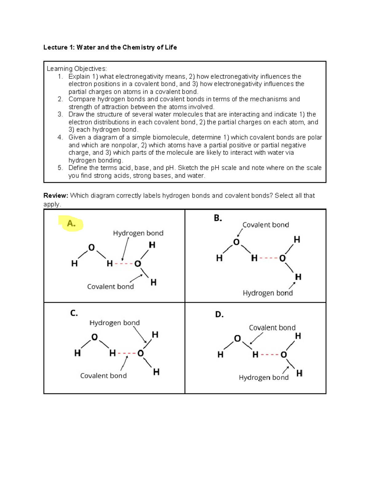 Lecture 1: Water & Chemistry of Life - Key Concepts & Activities - Studocu