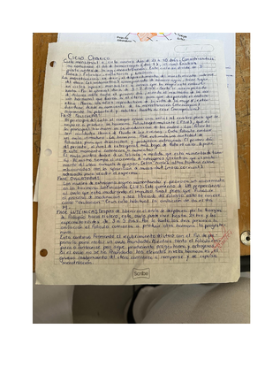 Torch - Resumen - Panel de Torch Definicion Grupo de examenes de SANGRE ...