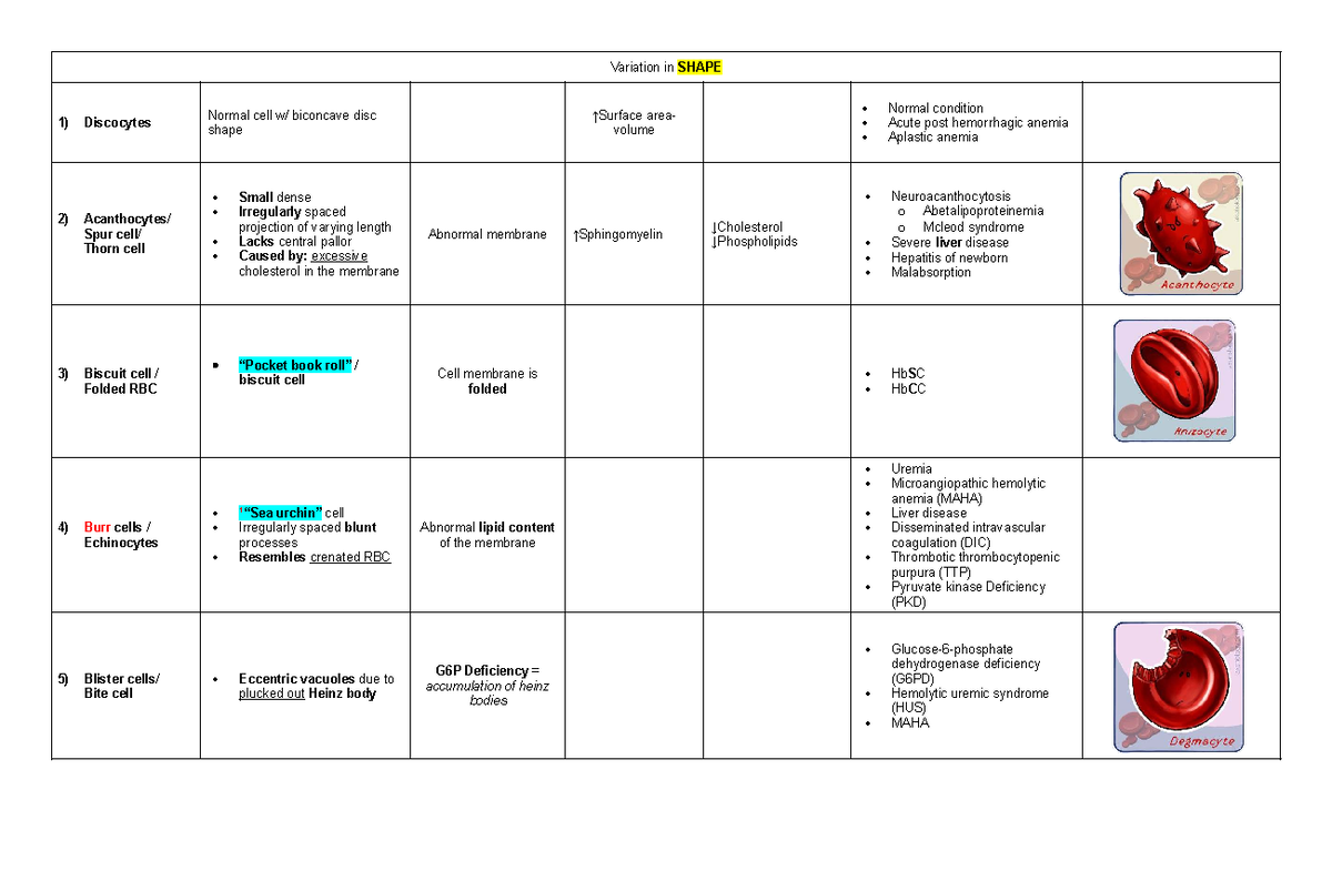 Variation in Shape - Summary Table for RBC Morphology - Studocu