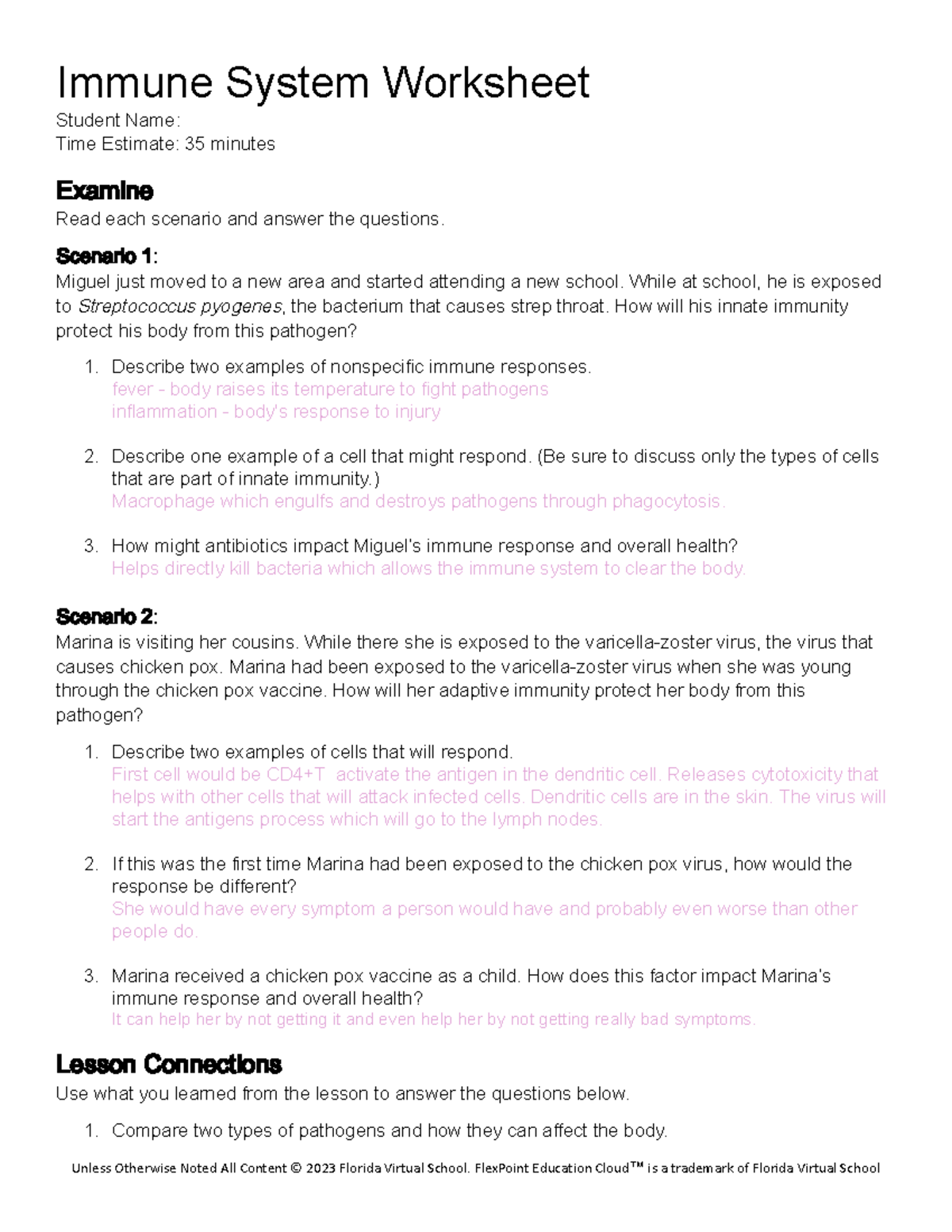 603 Immune System Worksheet: Innate & Adaptive Immunity Insights - Studocu