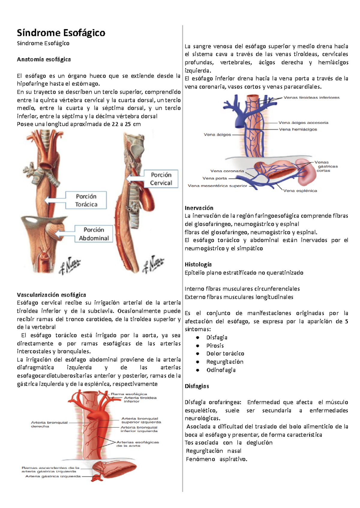 Síndrome Esofágico - Anatomía, Diagnóstico y Complicaciones - Studocu