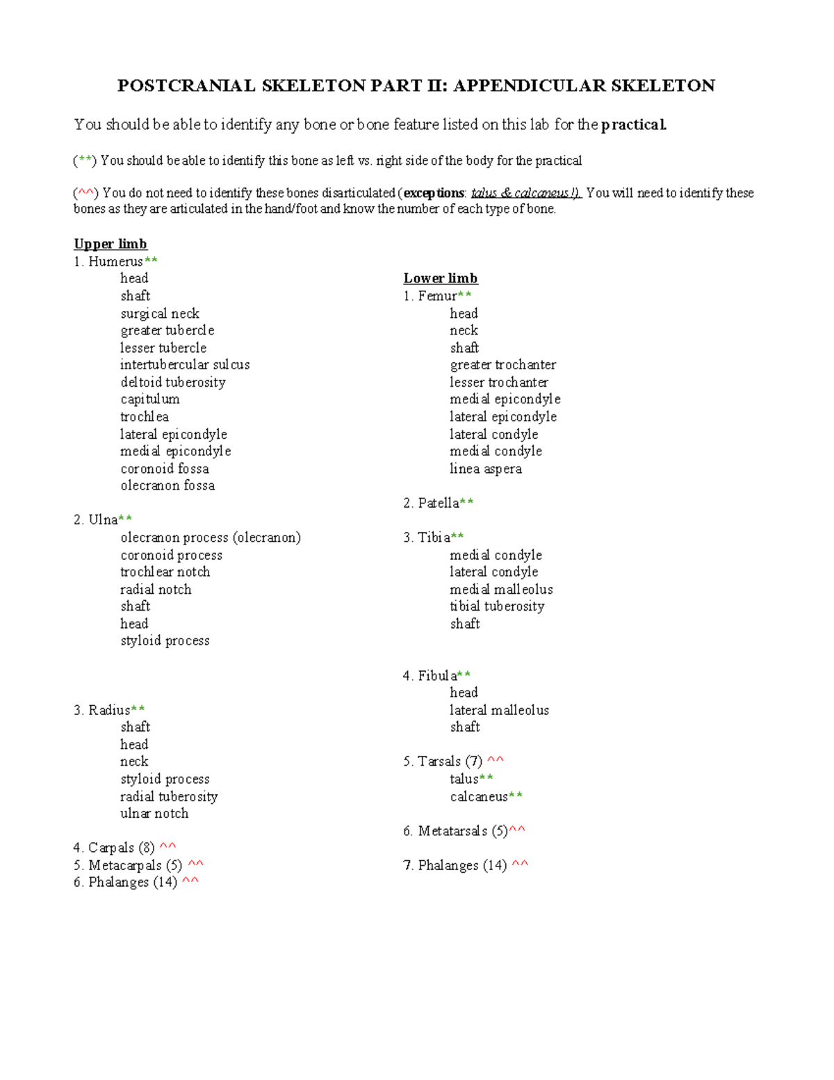 BIOL 251 Appendicular Skeleton Lab: Bone Identification Guide - Studocu