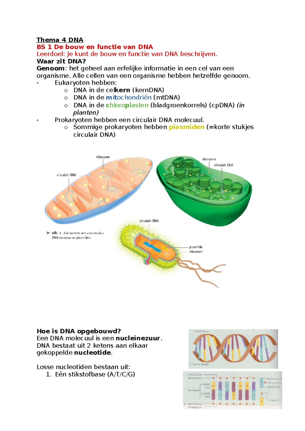 BS 1-6: DNA Bouw, Functie en Genregulatie Lesnotities - Studeersnel