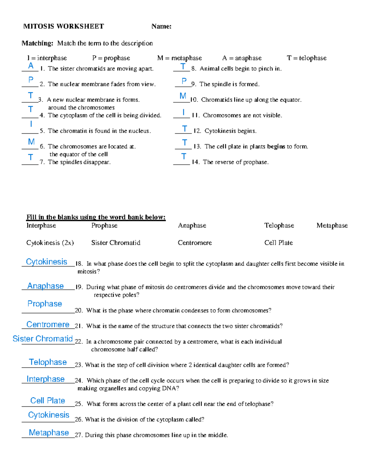 Mitosis worksheet 2 - MITOSIS WORKSHEET Name: Matching: Match the term ...