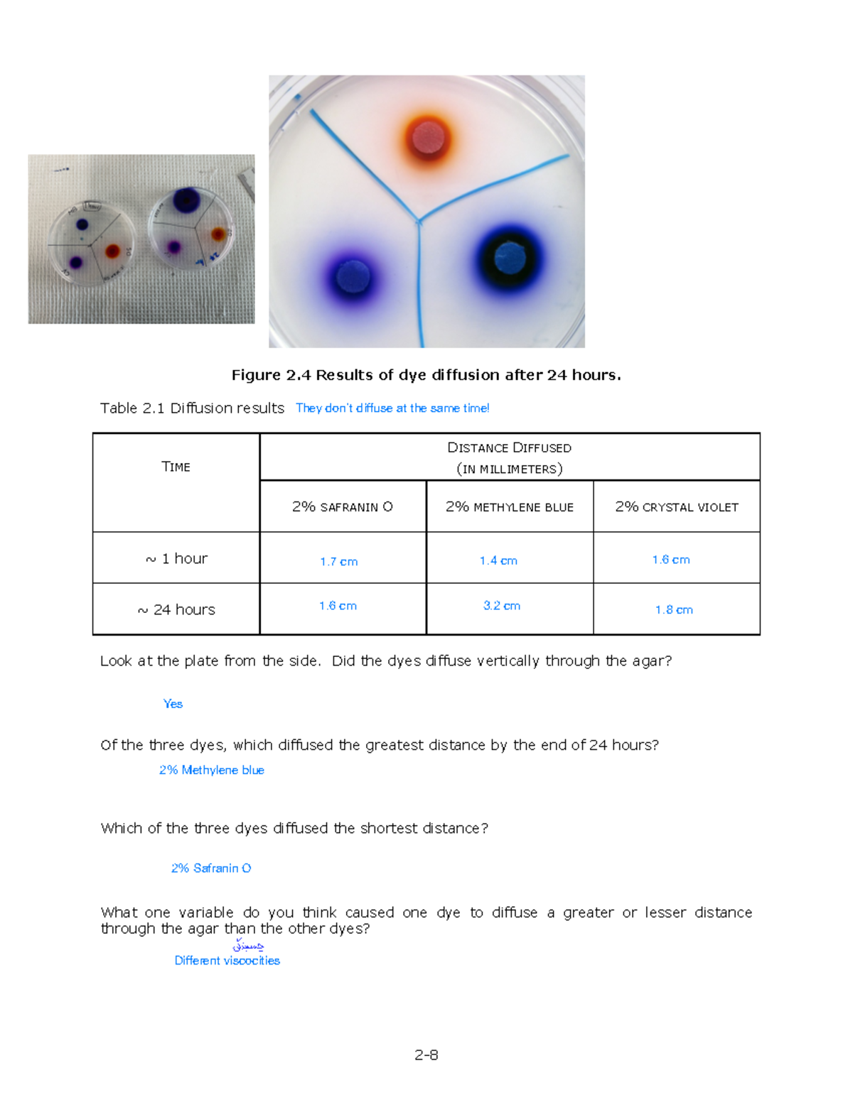 LAB 2 - Osmosis and Diffusion Experiment Analysis - Studocu