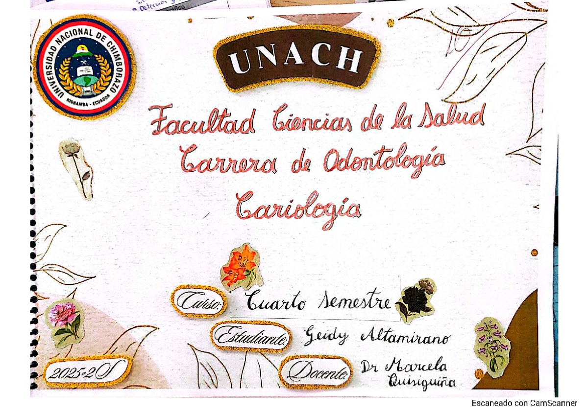 Dibujos cariología-Altamirano Geidy - Medicina Interna II: Cardiologia ...