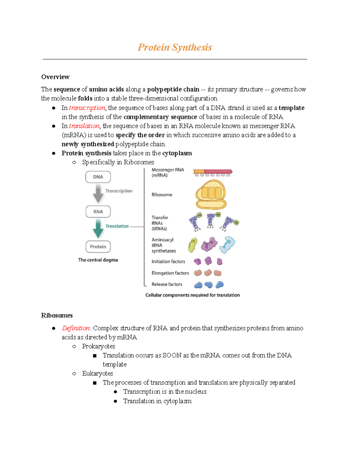 6A Notes - Summary Life Science - Protein Synthesis Overview The ...