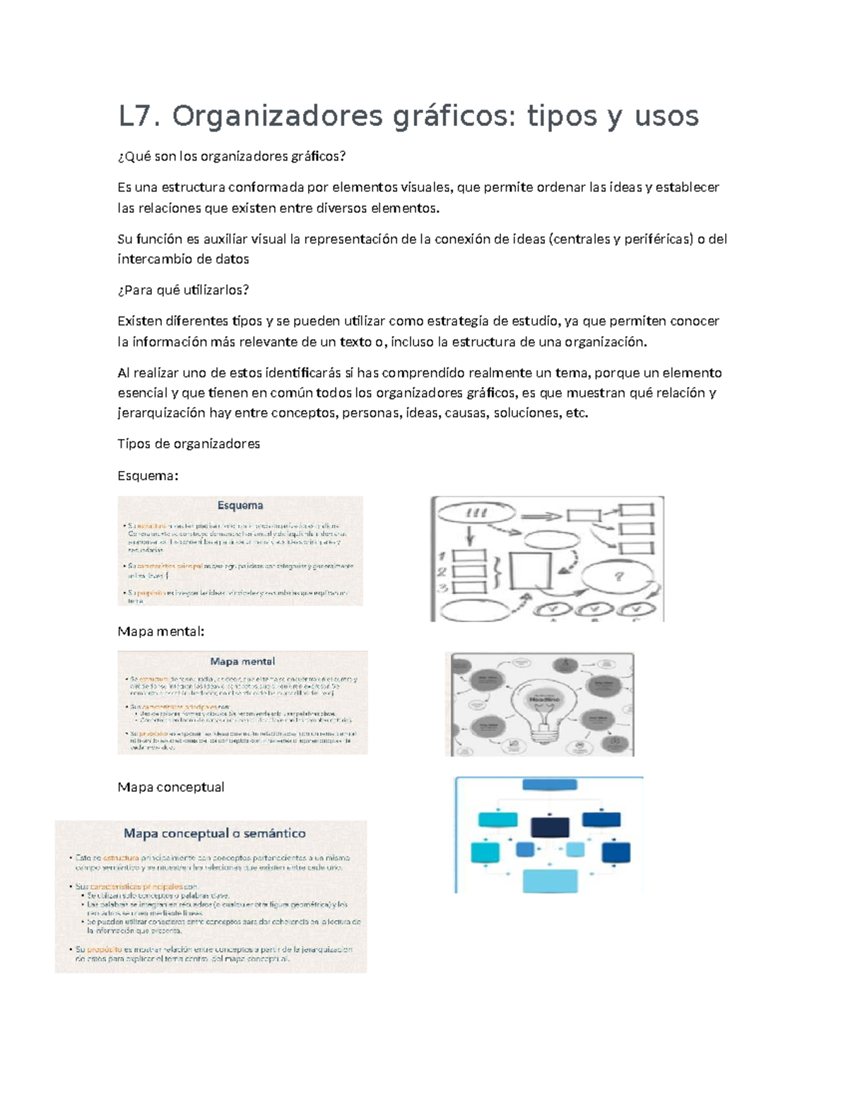 L7 - Organizadores Gráficos: Tipos y Usos en Estrategias de Estudio ...