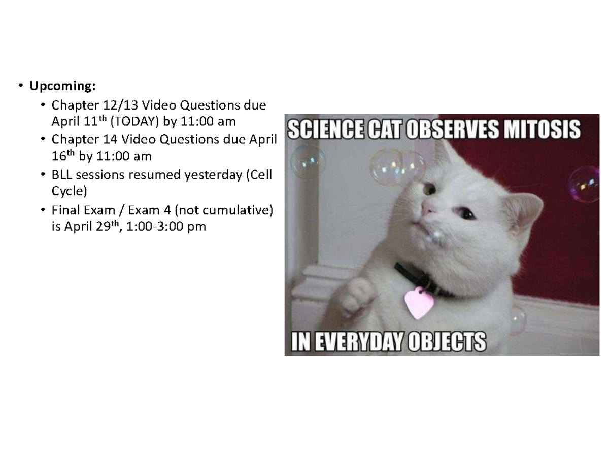 BI111_SP25_Mitosis_Meiosis_Overview_and_Comparison_Notes - Upcoming ...