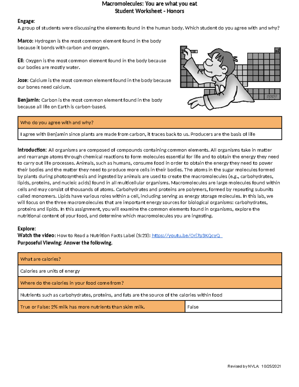 M3 L2 Assignment Macromolecules Worksheet - Honors - Student Worksheet ...