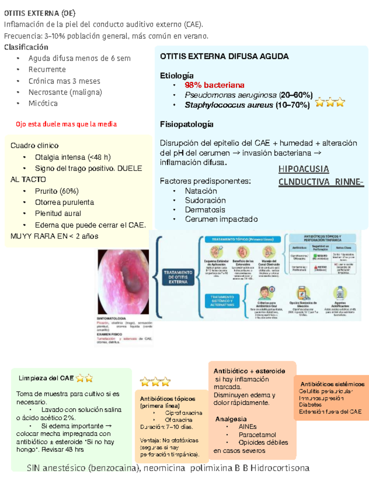 OTITIS EXTERNA Y MEDIA: Guía Completa para Estudiantes de Otorrino 3 ...
