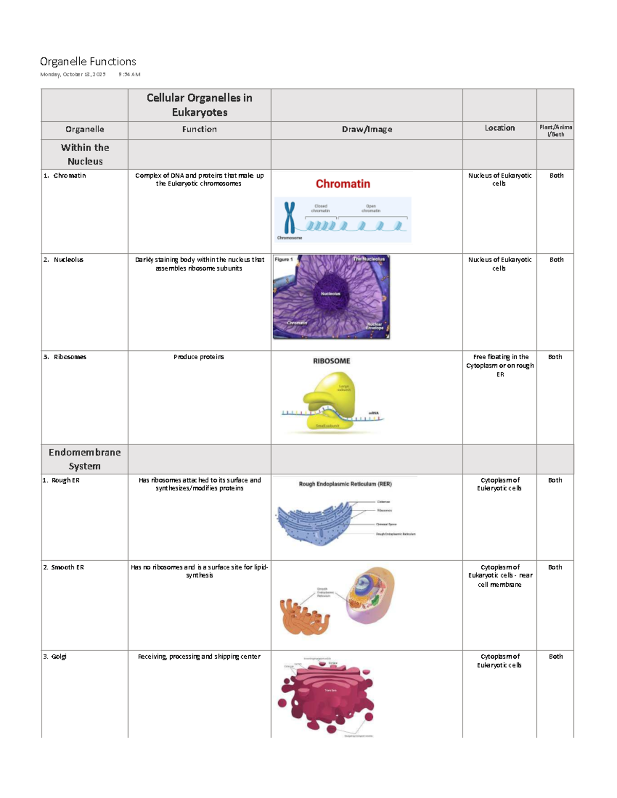 Cellular Organelles: Functions & Locations in Eukaryotic Cells - Studocu