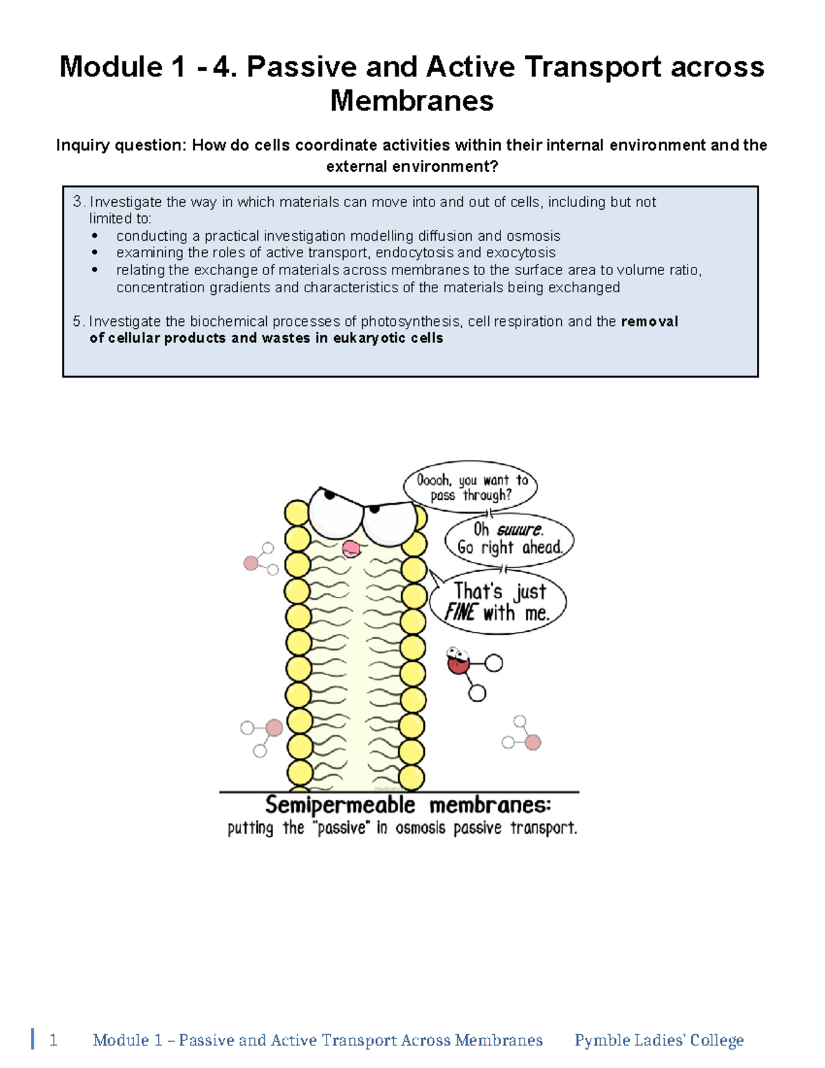Module 1: Passive and Active Transport Across Membranes - Inquiry and ...
