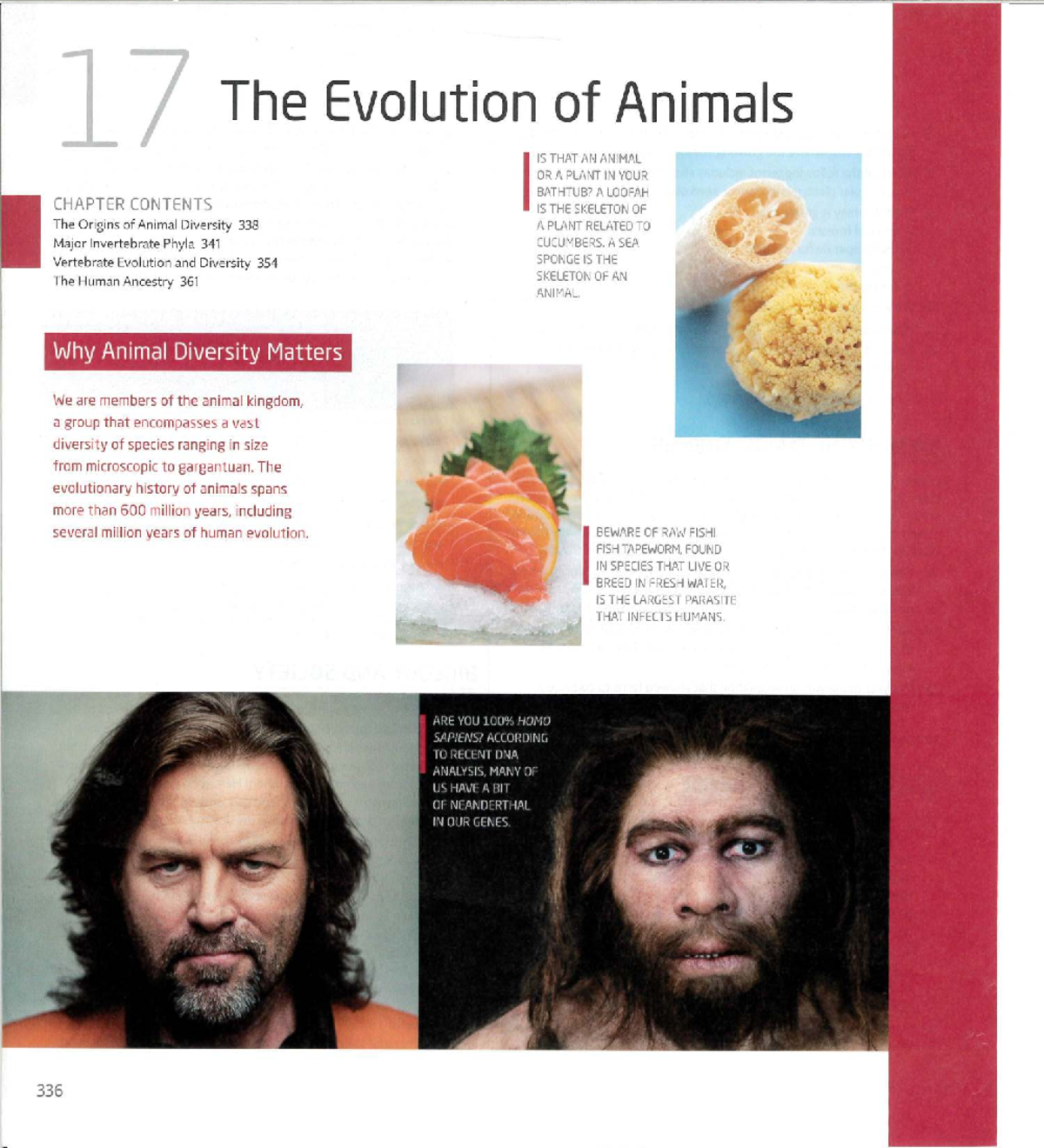 17 The Evolution of Animals: Understanding Animal Diversity and Human ...