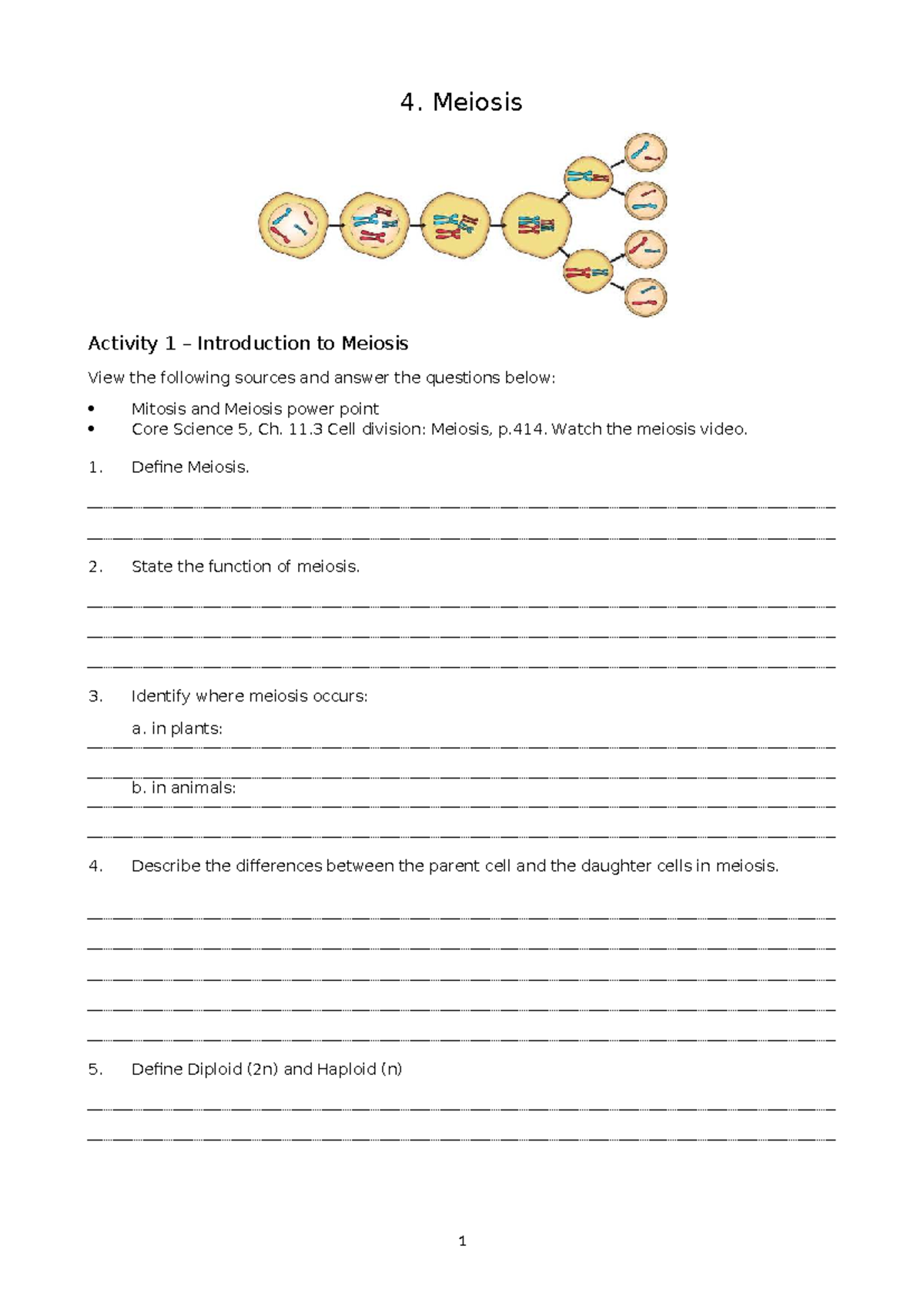 4. Meiosis Activity: Understanding Meiosis and Its Stages - Studocu